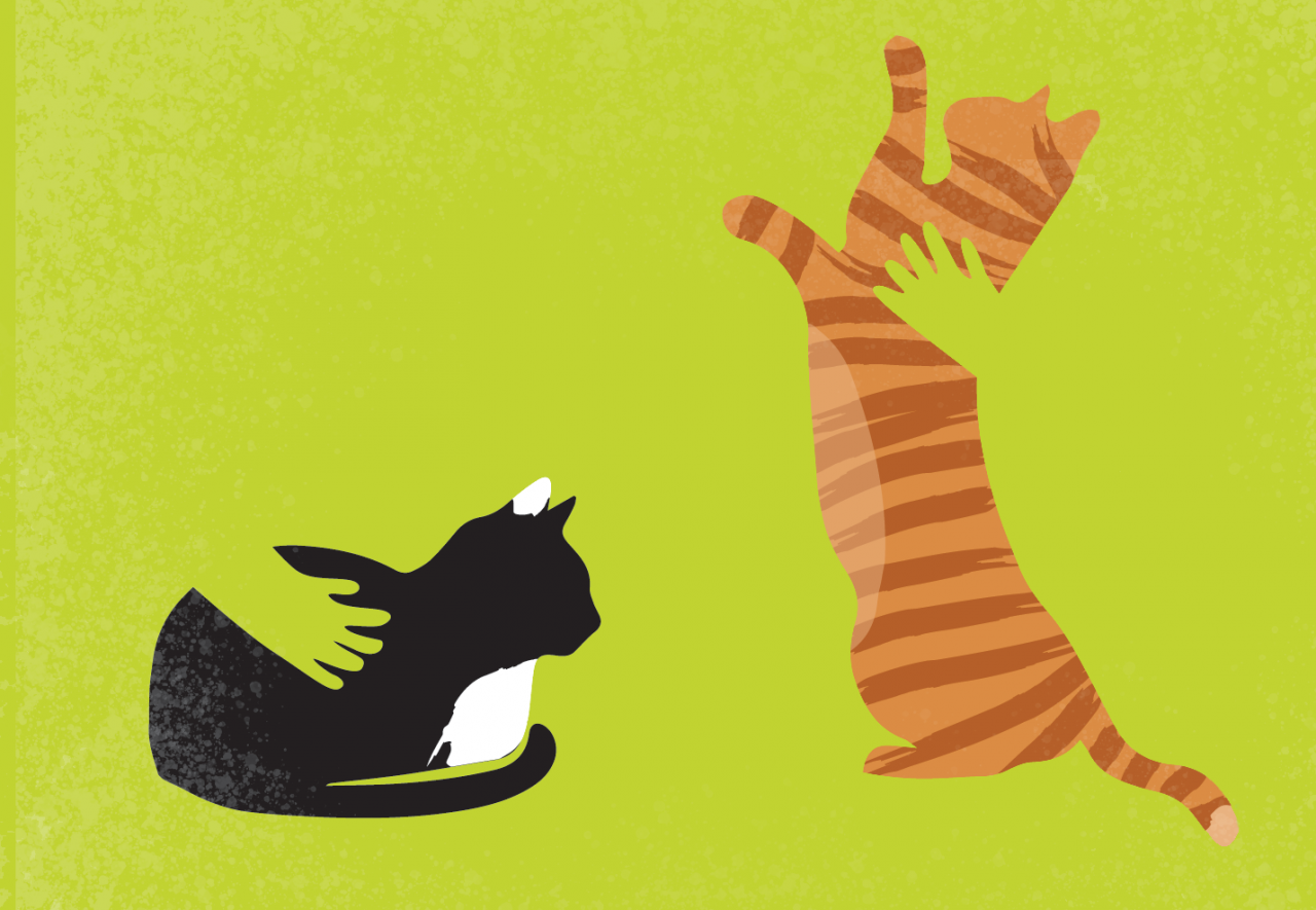 Human-Animal Connections: Veterinary Social Work Roles Grow as the ...